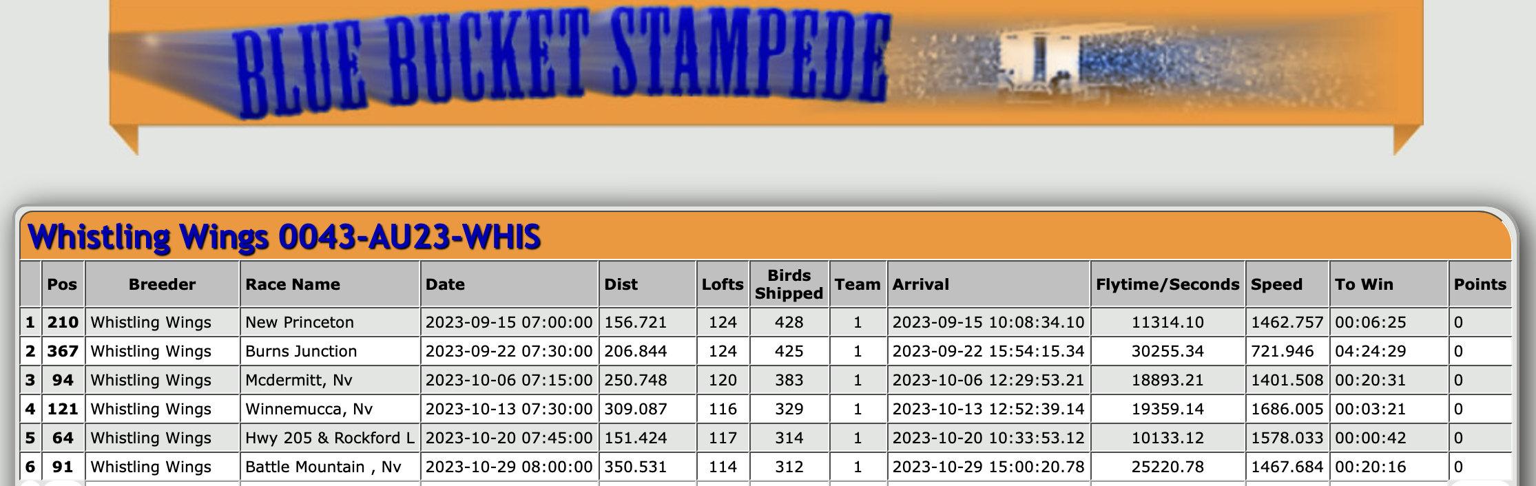 iPigeon.com - Racing Pigeon Auction