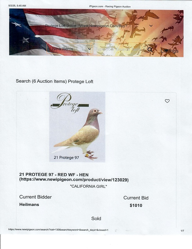 iPigeon.com - Racing Pigeon Auction