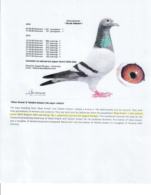 iPigeon.com - Racing Pigeon Auction