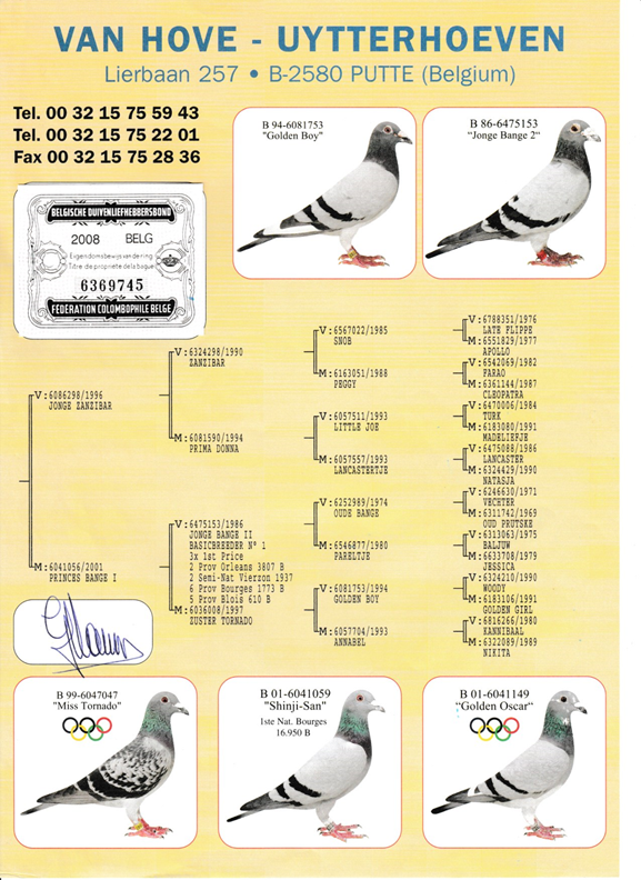 iPigeon.com - Racing Pigeon Auction