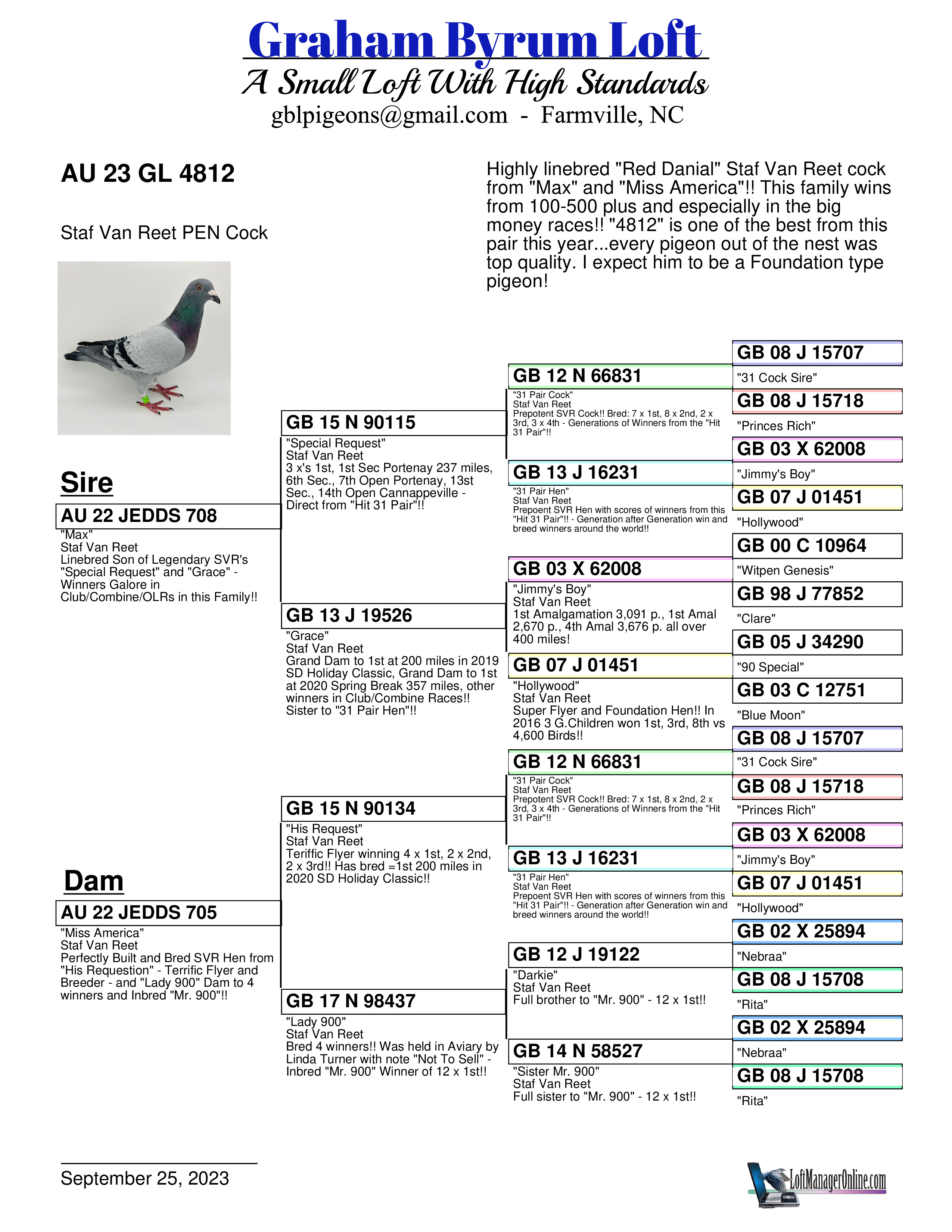 iPigeon.com - Racing Pigeon Auction