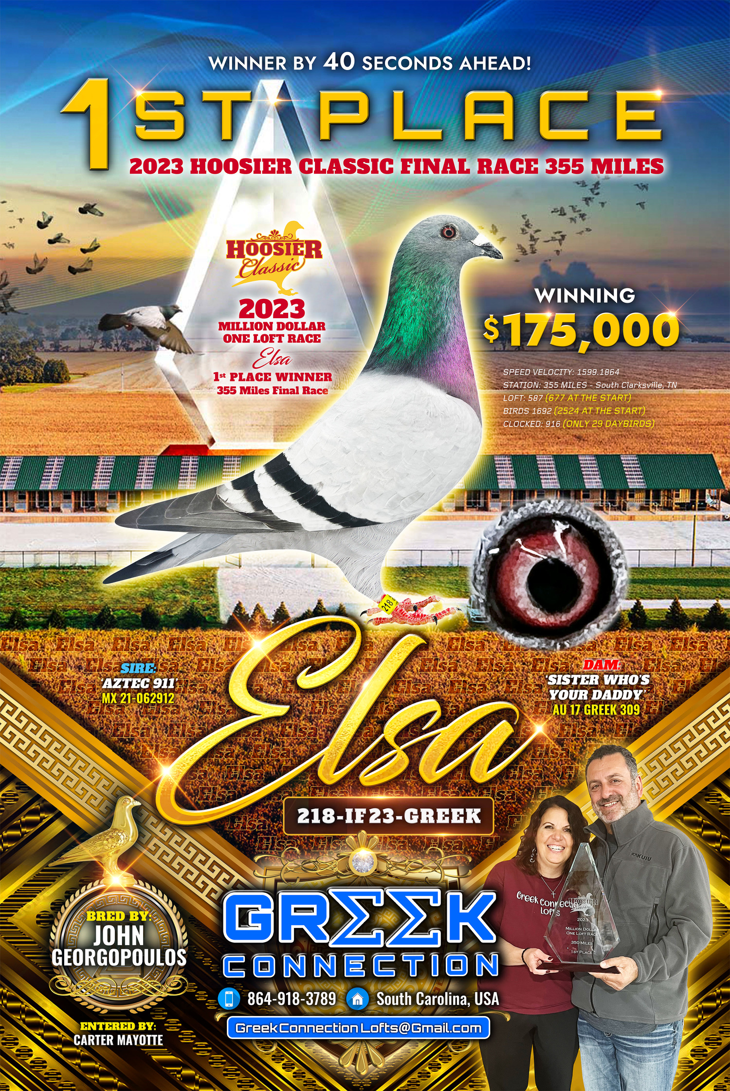 iPigeon.com - Racing Pigeon Auction