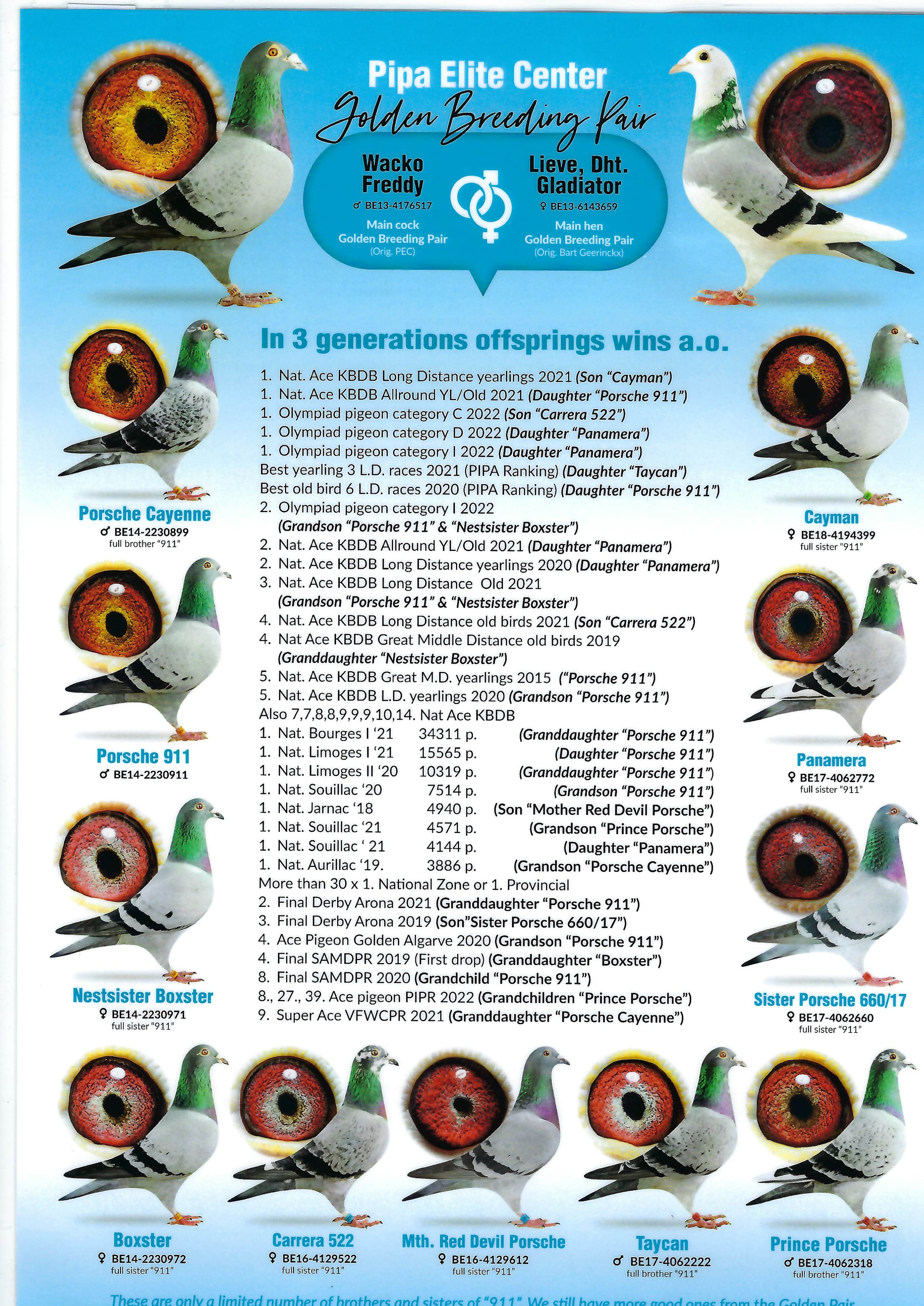 iPigeon.com - Racing Pigeon Auction