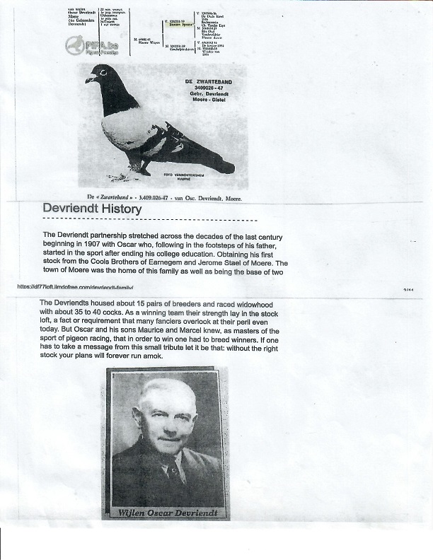 iPigeon.com - Racing Pigeon Auction