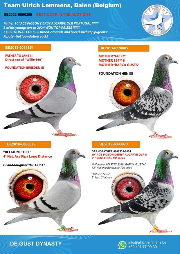iPigeon.com - Racing Pigeon Auction