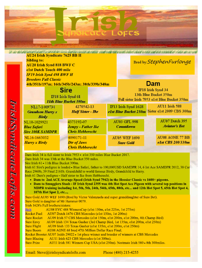 iPigeon.com - Racing Pigeon Auction