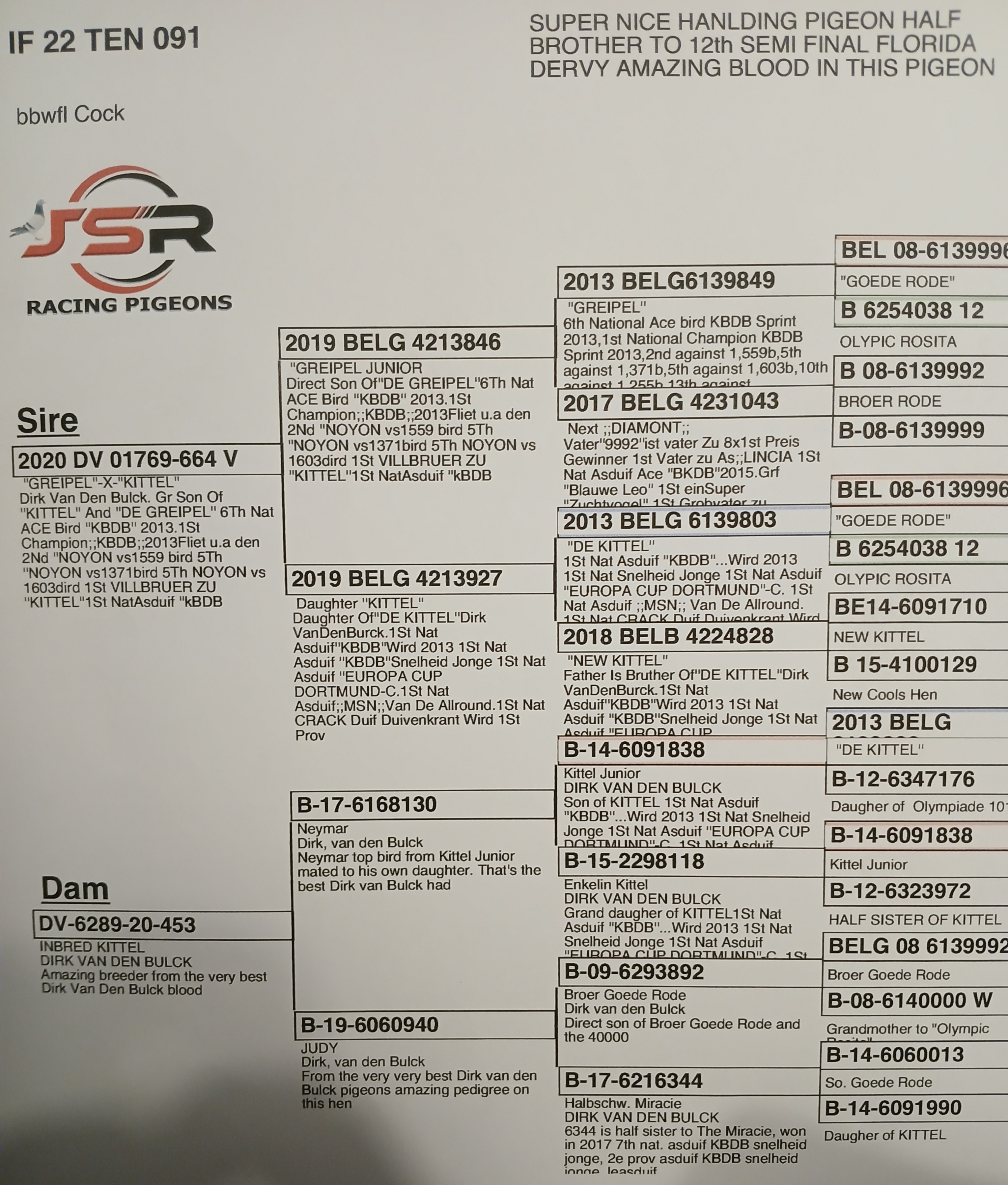 iPigeon.com - Racing Pigeon Auction