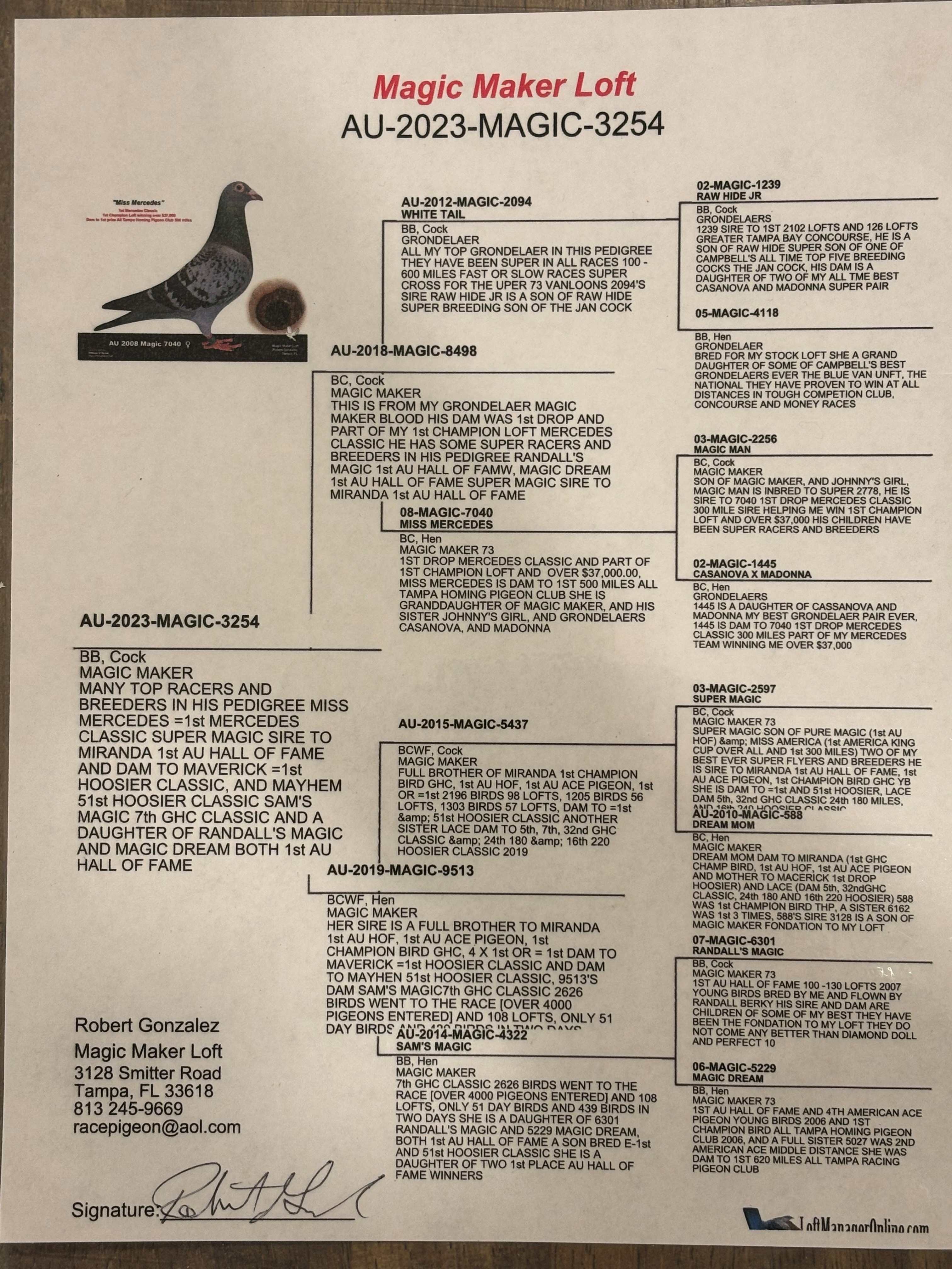 iPigeon.com - Racing Pigeon Auction