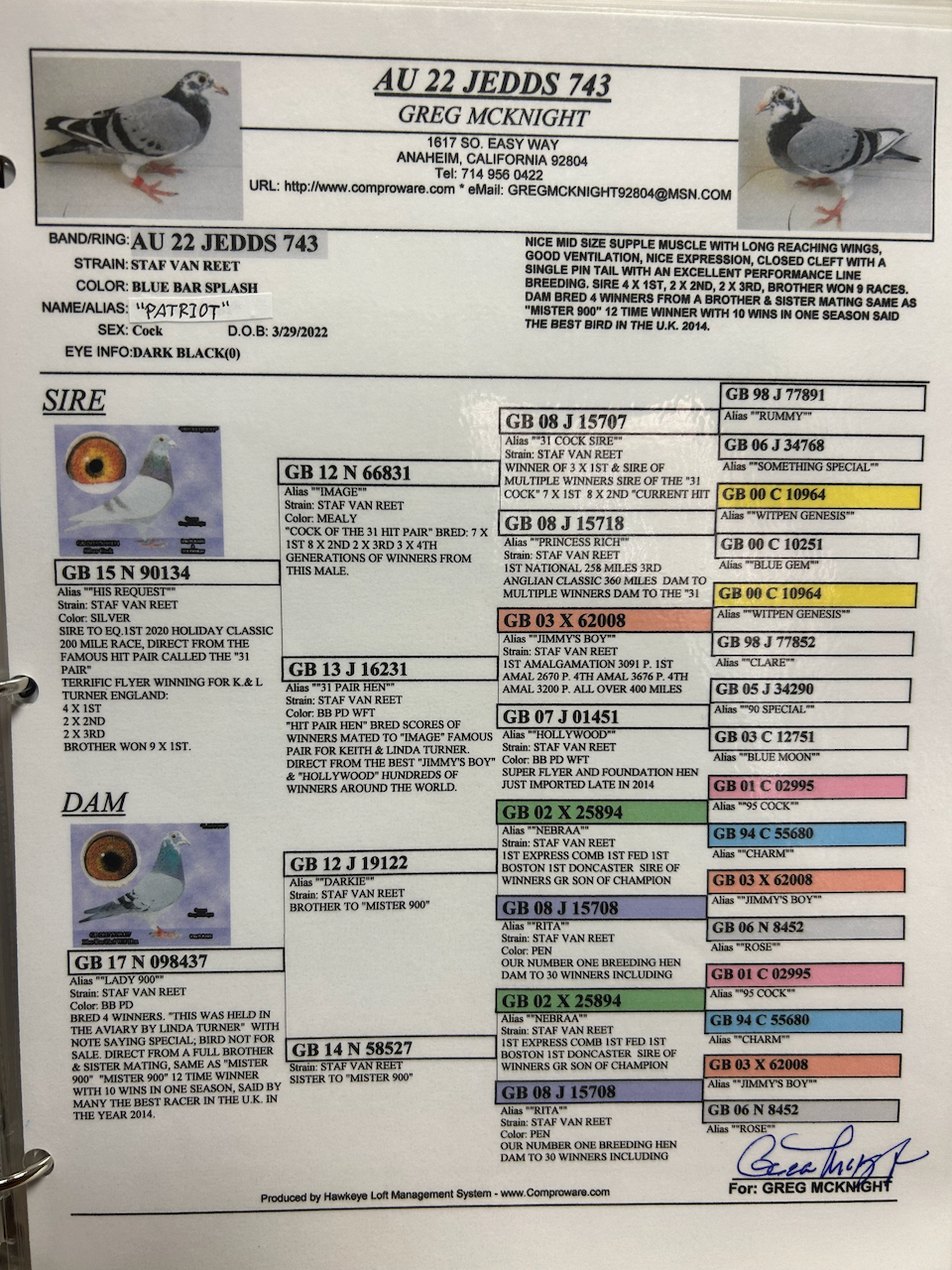 iPigeon.com - Racing Pigeon Auction